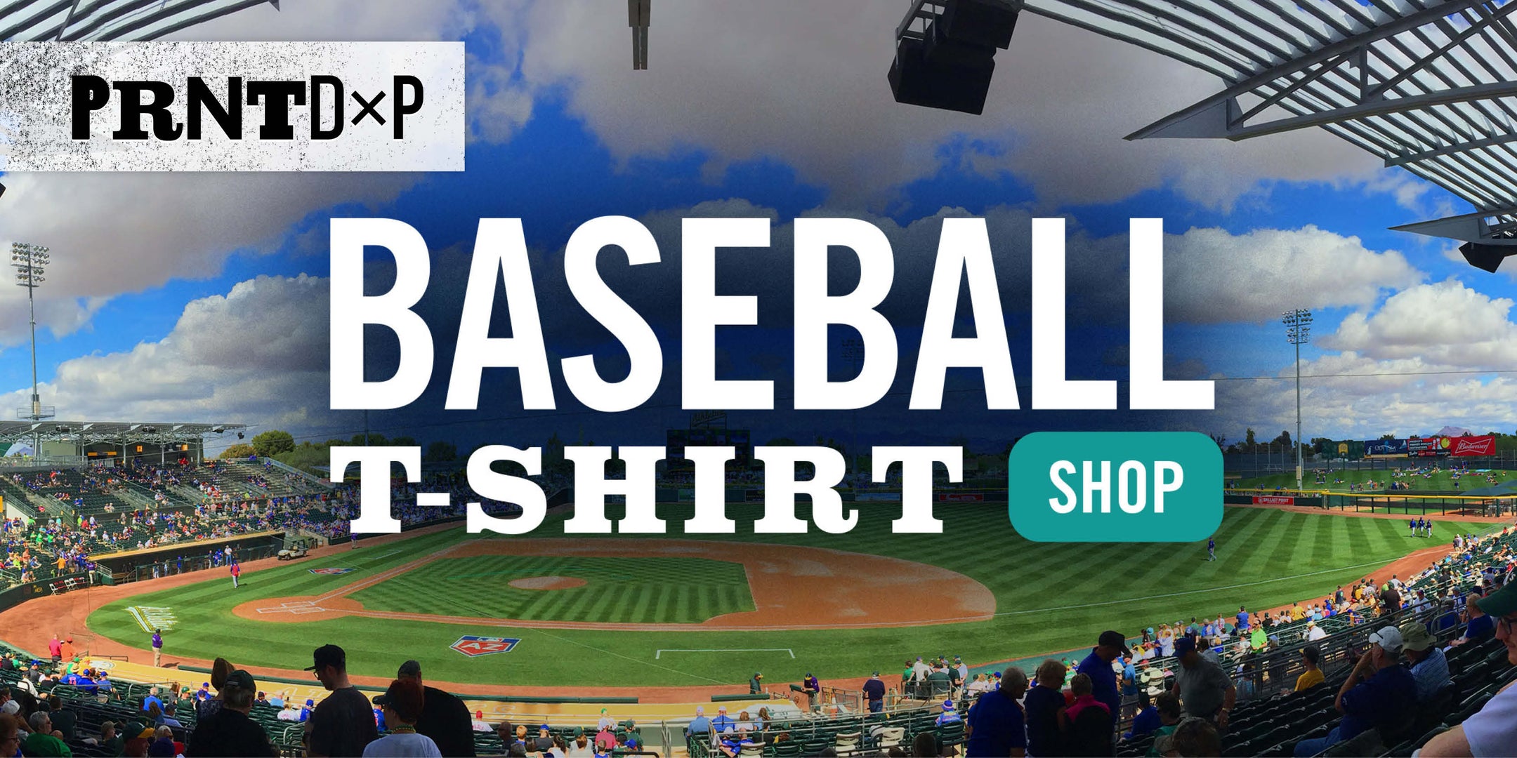 It's Baseball Season! – P R N T D x P